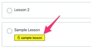 How to Customize the LearnDash Sample Lesson Label